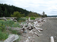 Gravel Beach: Livingston Bay