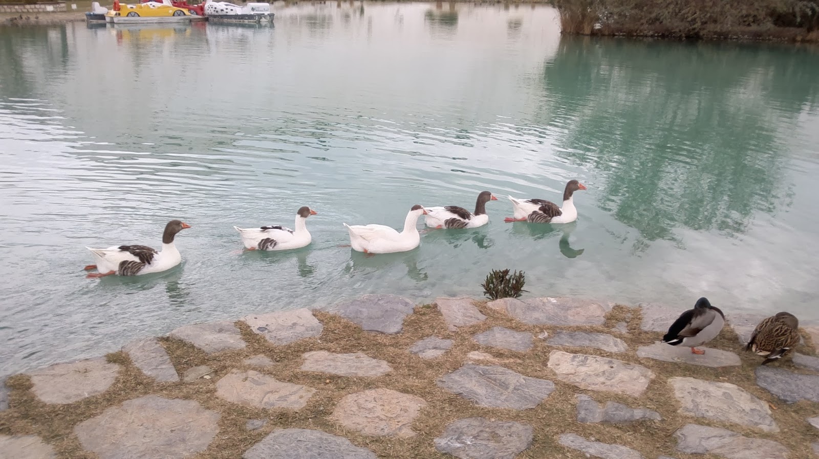 Elust, ilust, valust: 6.päev Türgis