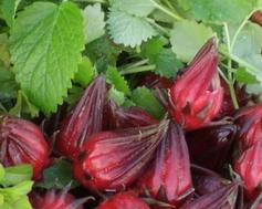 MASAK CARA MUDAH CHEF MASNAH