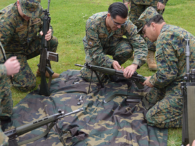 Fusil HK: FUNDAMENTOS TEÓRICOS FUSIL HK-33