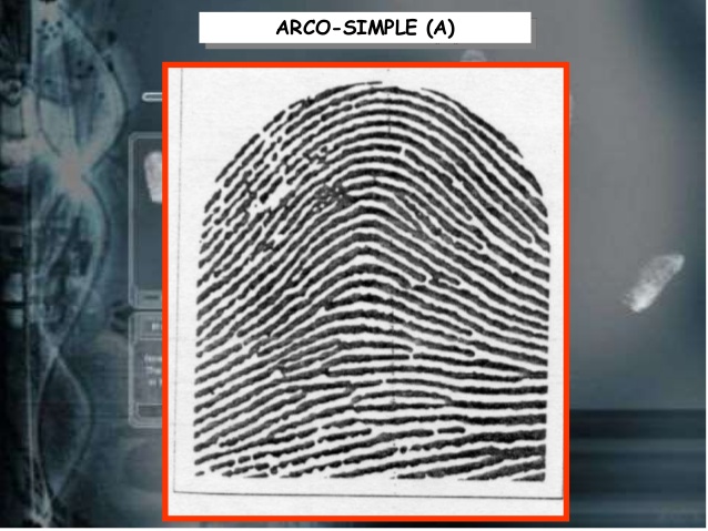 Métodos o sistemas de Identificación Humana: Los 4 tipos fundamentales ...