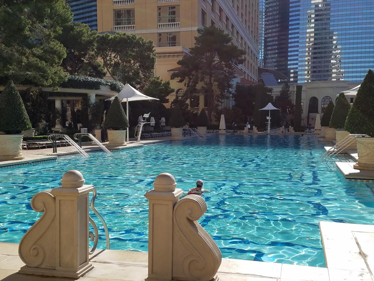 Adventures in Weseland: A Walk Around the Bellagio Pool