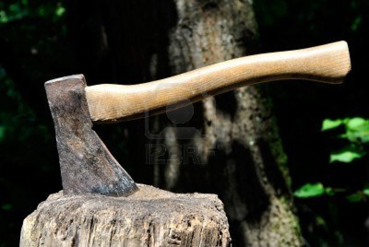 La Historia de la Semana