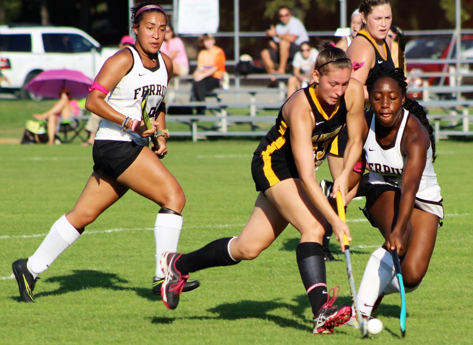 RVA Sports Network : #RVAW : 2017: The Year Of Women's Sports!