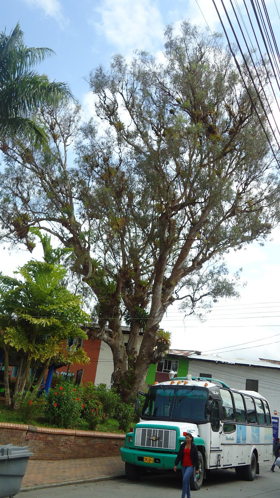 GACHALA CUNDINAMARCA: PORQUE GACHALA VALE LA PENA