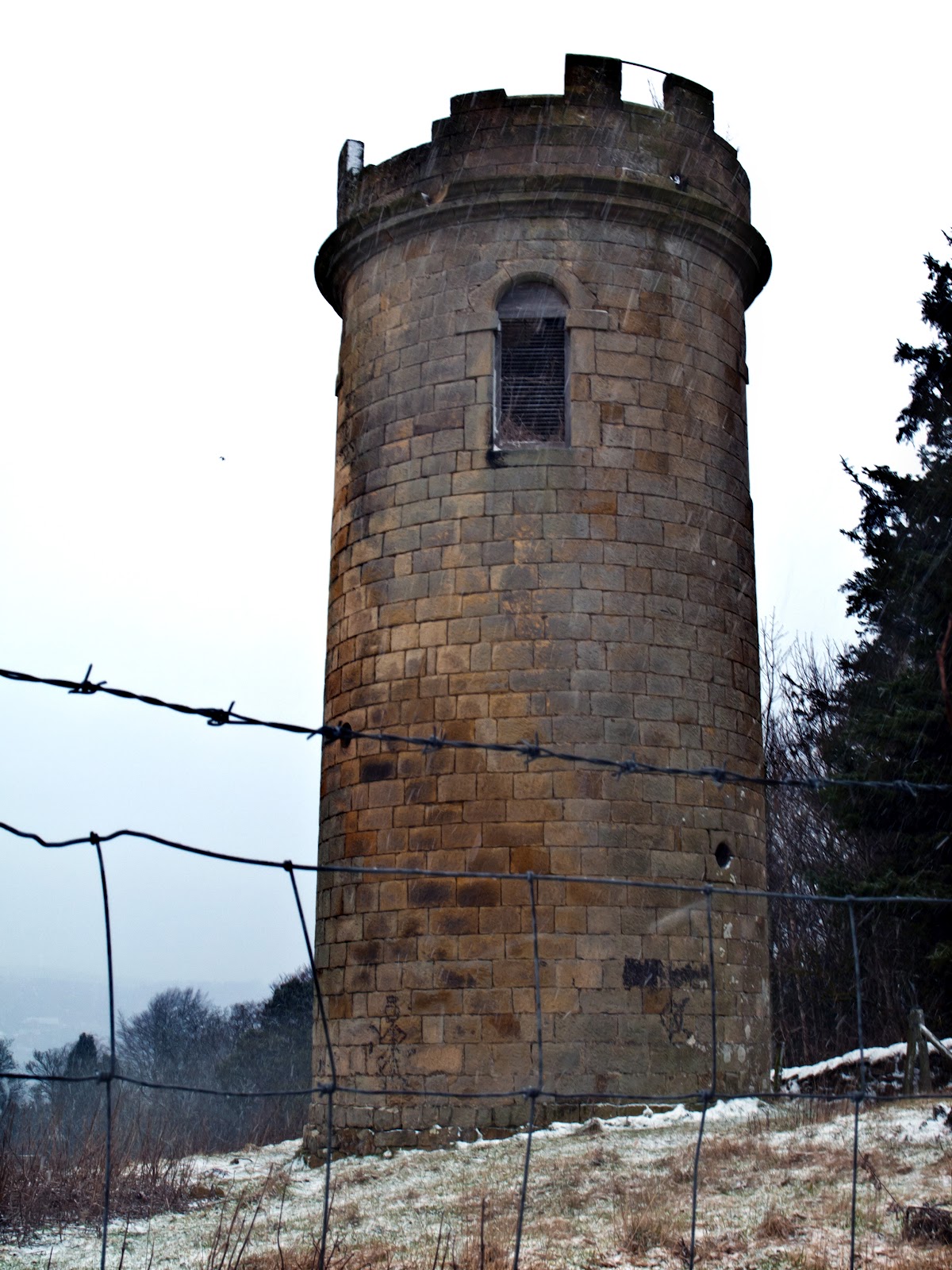 John Barnes - Cheviot Walker: Sharps Folly