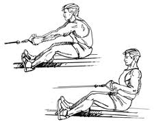 bodybuilding: Back Program