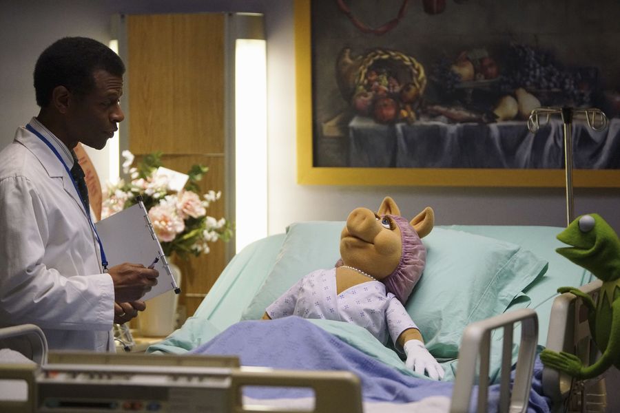 Muppet Stuff: Guest Stars Announced for ABC's The Muppets!