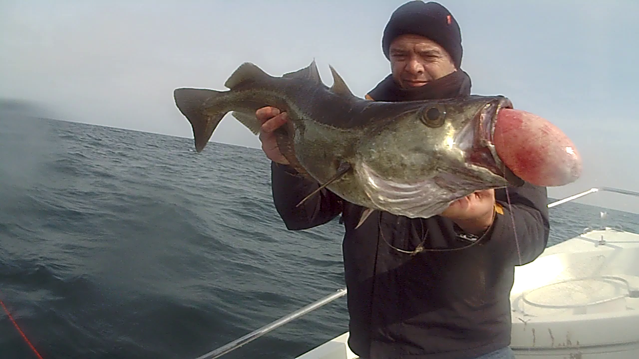 Pescando por Cantabria: Sin el culo moyau...no hay pescau.