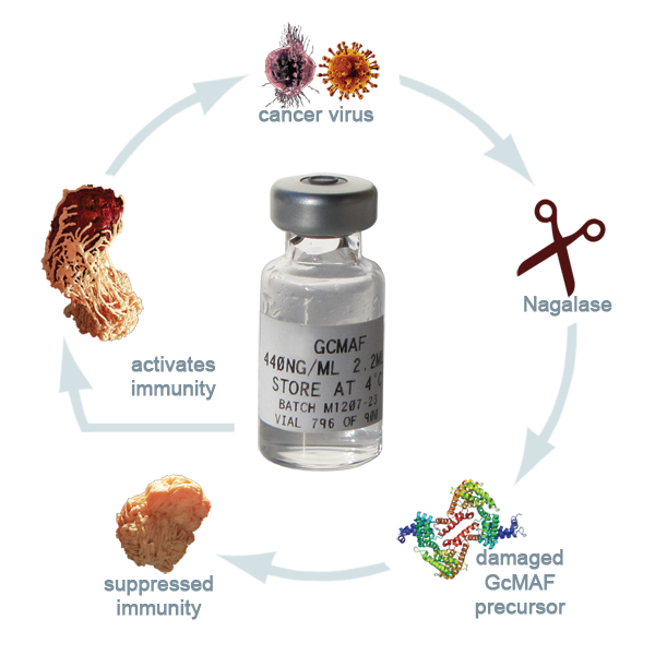 CANCER Treatment Protocol. How to use GcMAF and get the best results ...