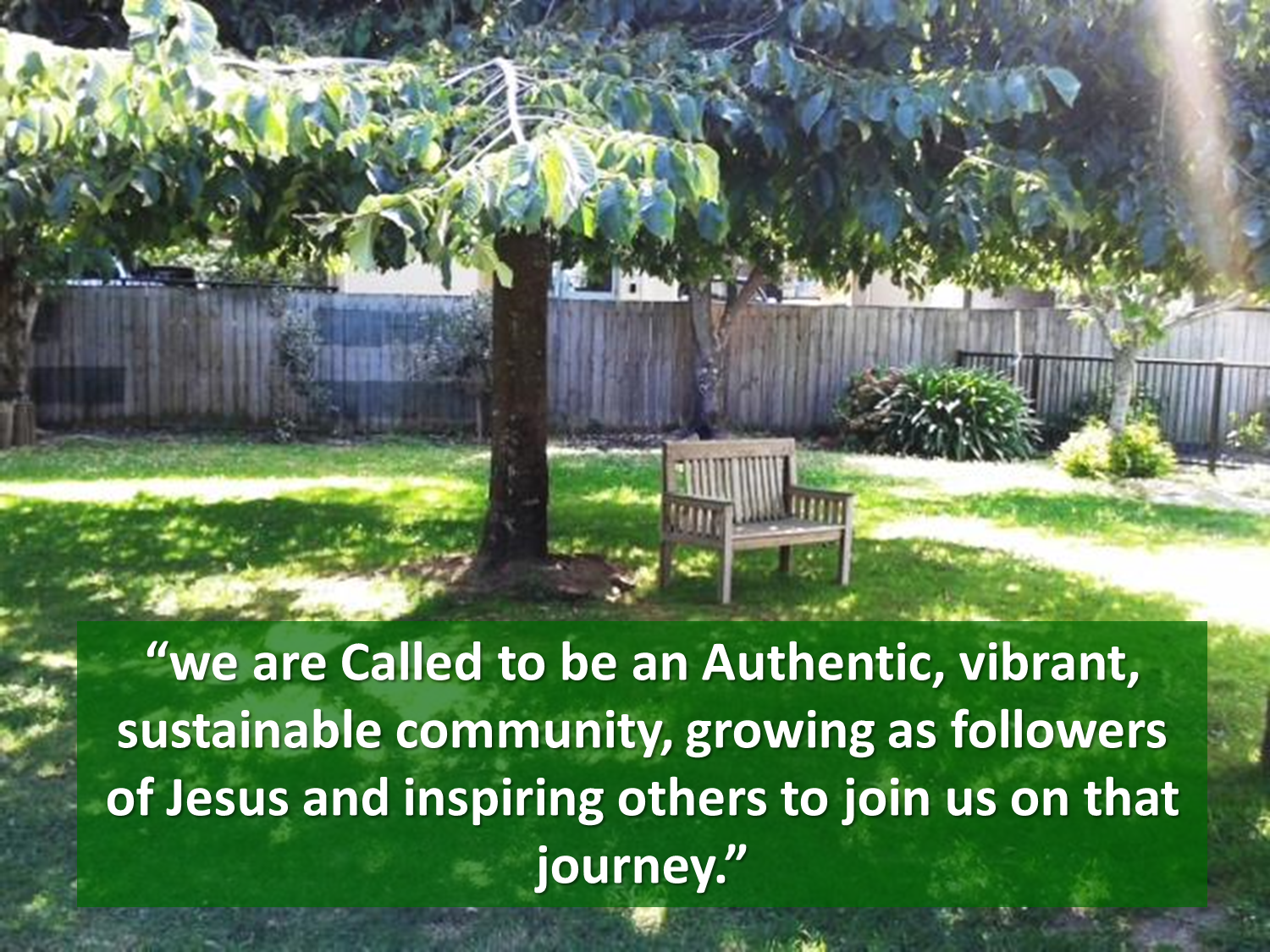 HOW IN THE WORLD!!: Under The Fig Tree... Jesus Meets Us Where We Are ...