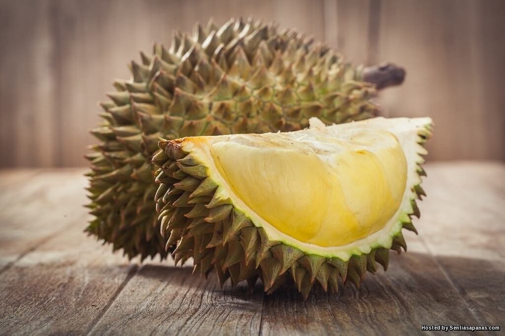 11 Jenis Durian Paling Popular Di Malaysia