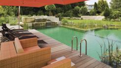 EcoSplash: Natural Swimming Pools by EcoSplash