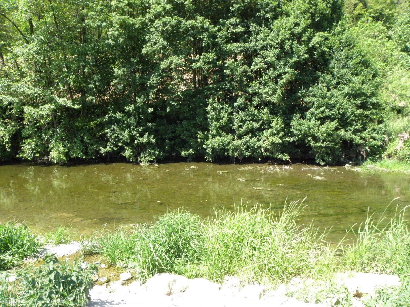The Travels of Garmisch: Cycling in the Tauber River Valley