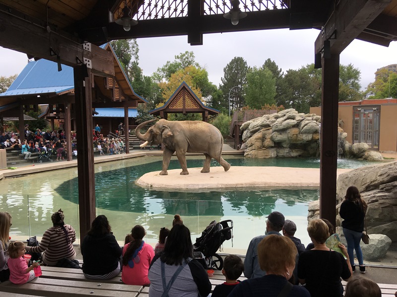 The Zoo Review: Zoo Review: Denver Zoo, Part II