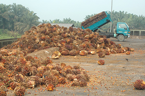 Kembara Insan / Engineer's Blog: Operasi Kilang Sawit / Palm Oil Mill ...