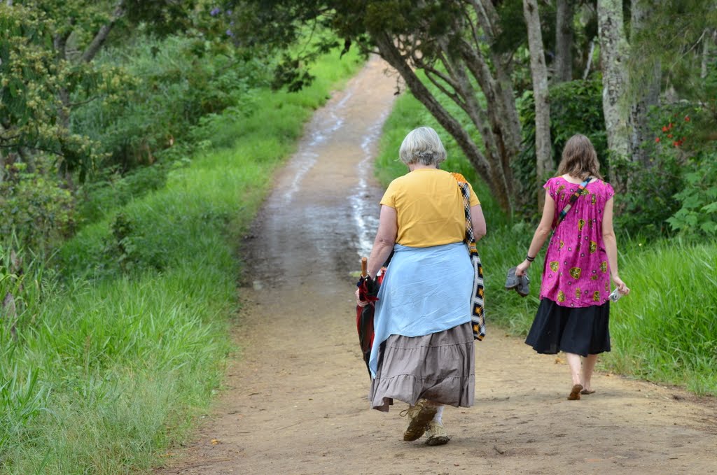 bugs and bananas: 2011 Katagu Games