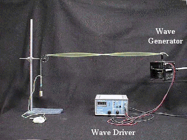 Standing Waves on a String / Ring