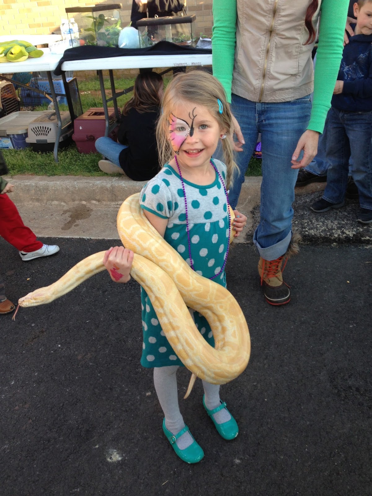 Petting Zoo Animals Snakes