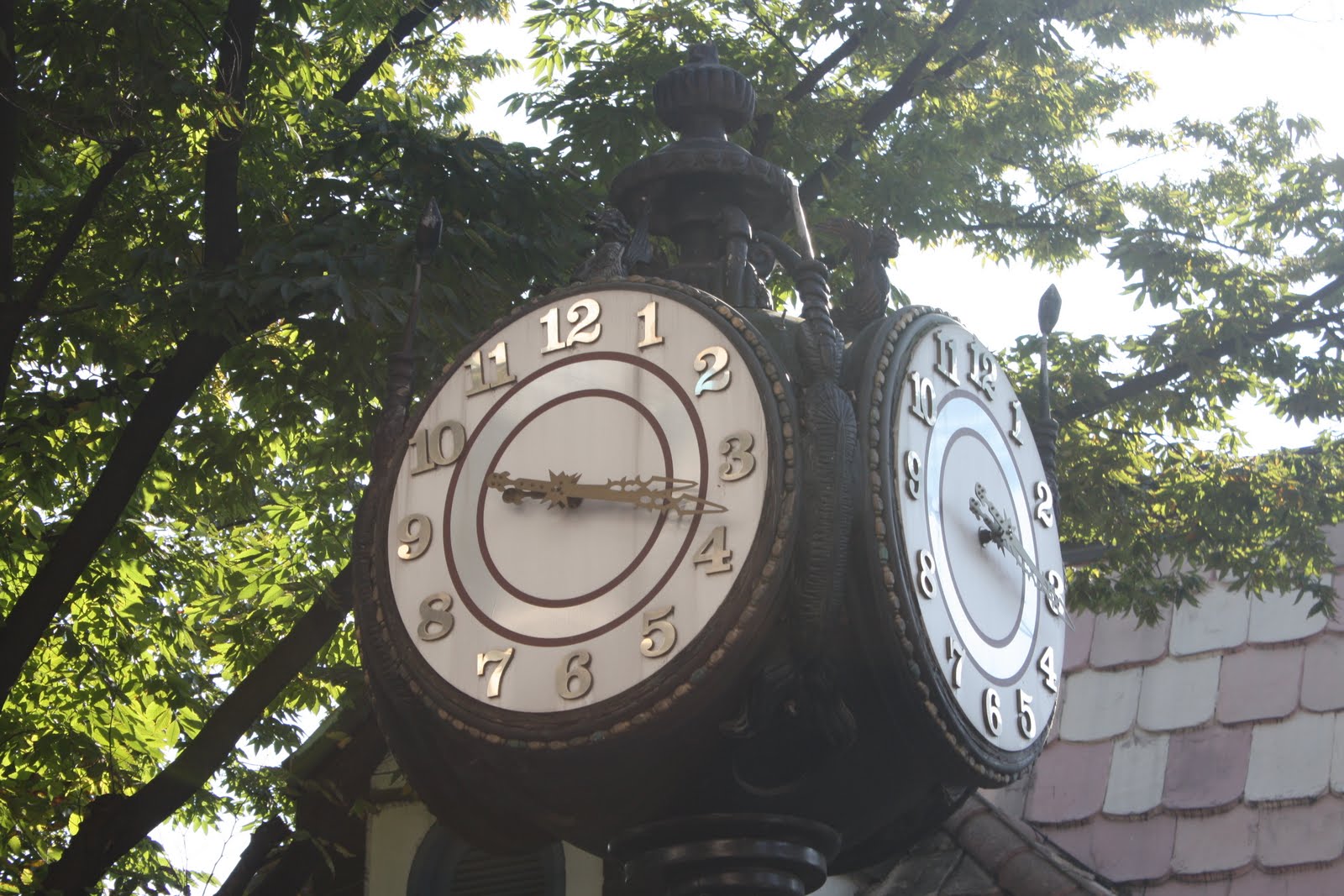 Keith and Hazel's Webbie