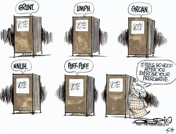 Cat and DOG Chat With Caren: Exercise Your Prerogative to VOTE!