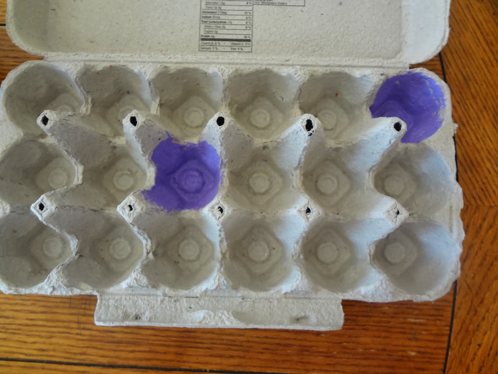 Time for Play: Pom-Pom Coloring Matching