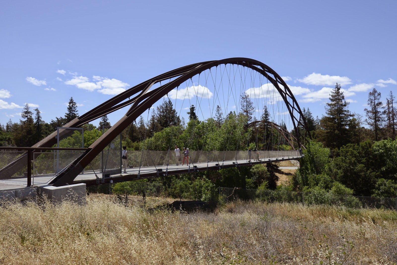 pedestrian bridges - Page 12 - SkyscraperPage Forum