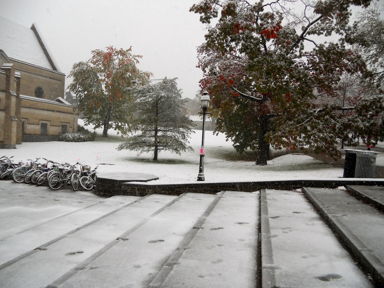 Nature Photography: First Snow at Princeton
