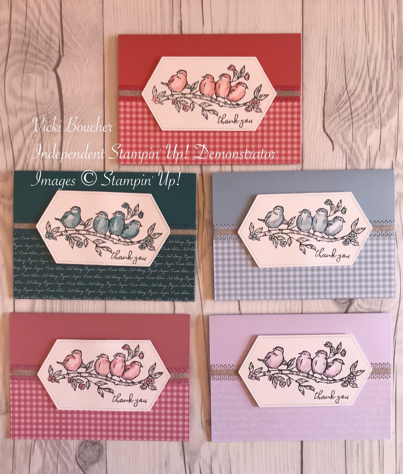 Vicki Boucher Stampin' Up! Demonstrator Australia: Stampin' Up! 2019 ...