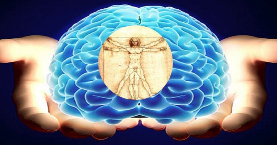 Psicobiología : Psicobiologia