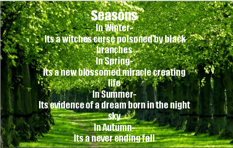 Faith @ Tamaki Primary School: My Seasons Poem