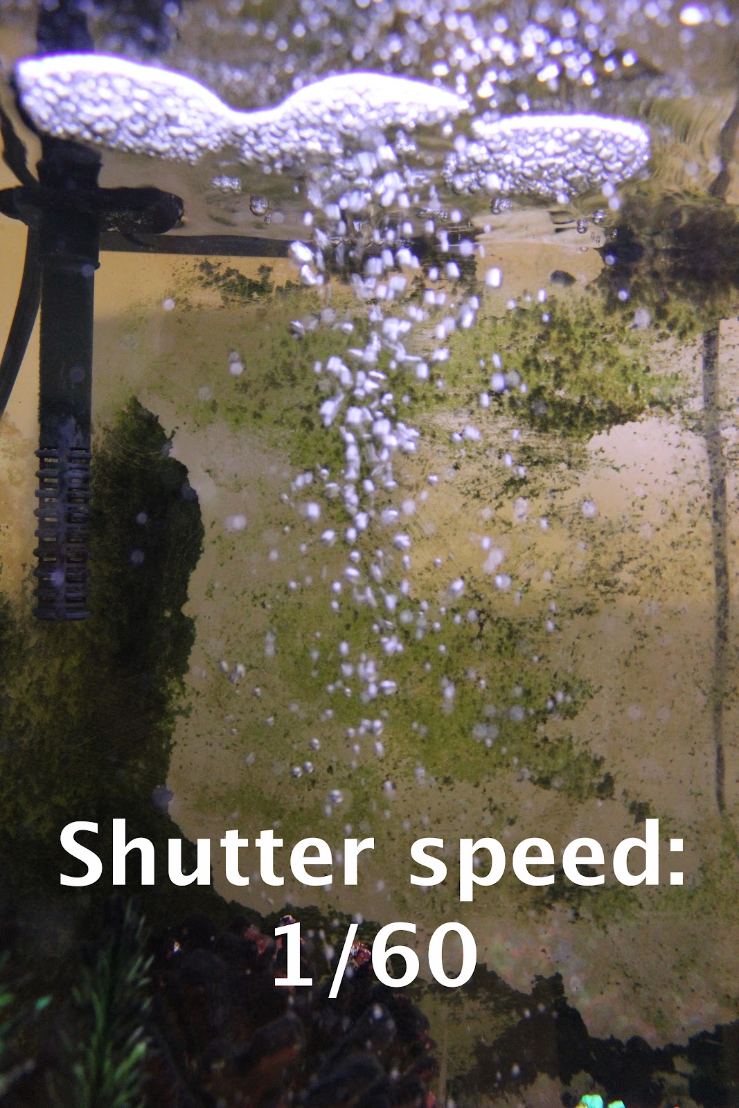 Completely Free Tutorials: Photography Tutorial: Shutter Speed & Motion