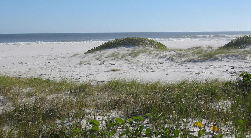 BIOFLAGRANTES*: RESTINGA