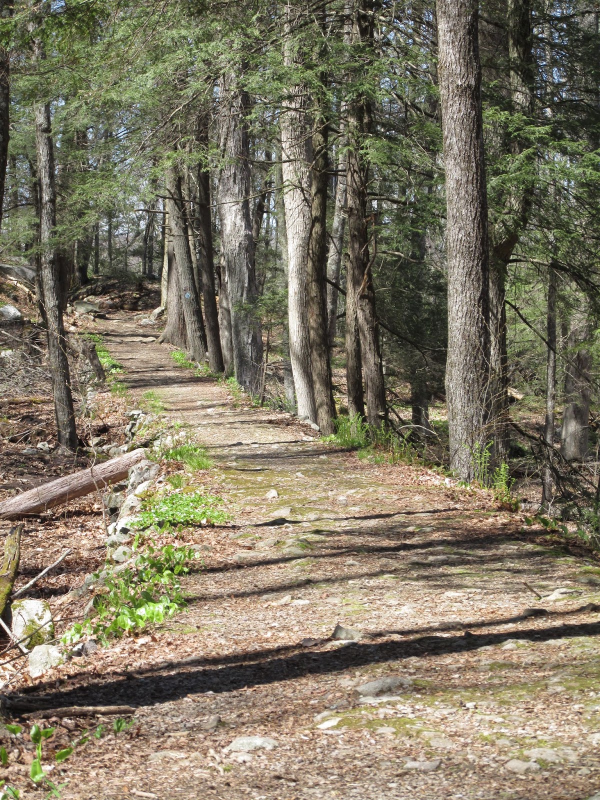 Outdoor Journal: Mine Hill Preserve, Roxbury Land Trust