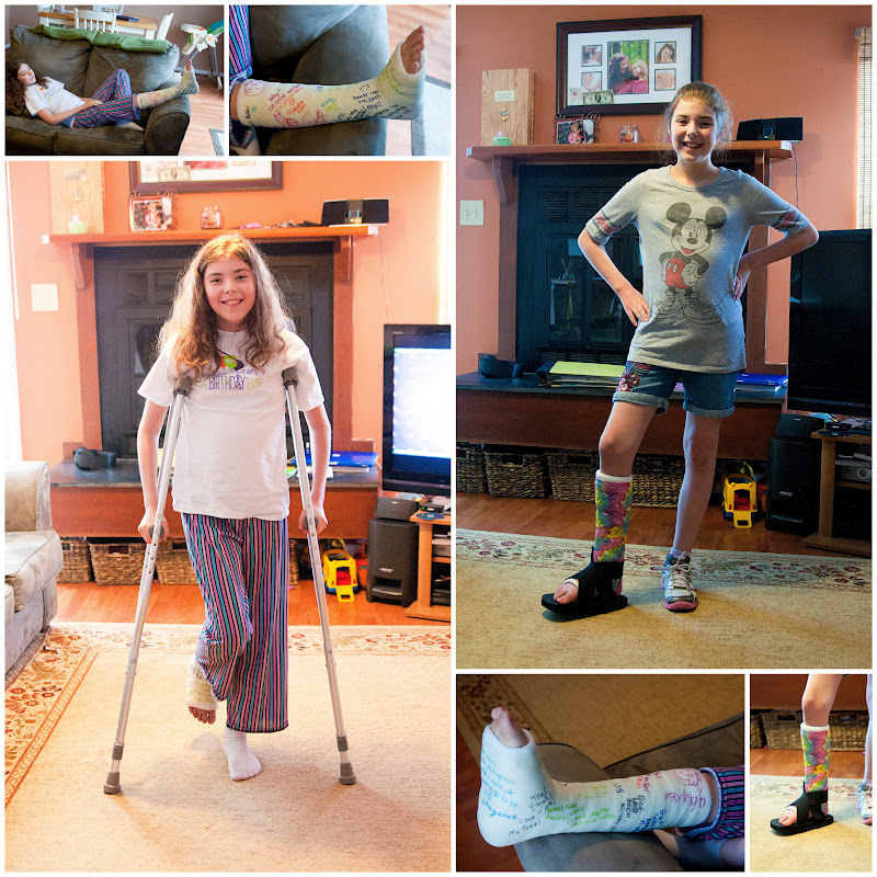 .: Weekly Wrap-Up: The One Where Slinky Dog Lends a Paw in Science