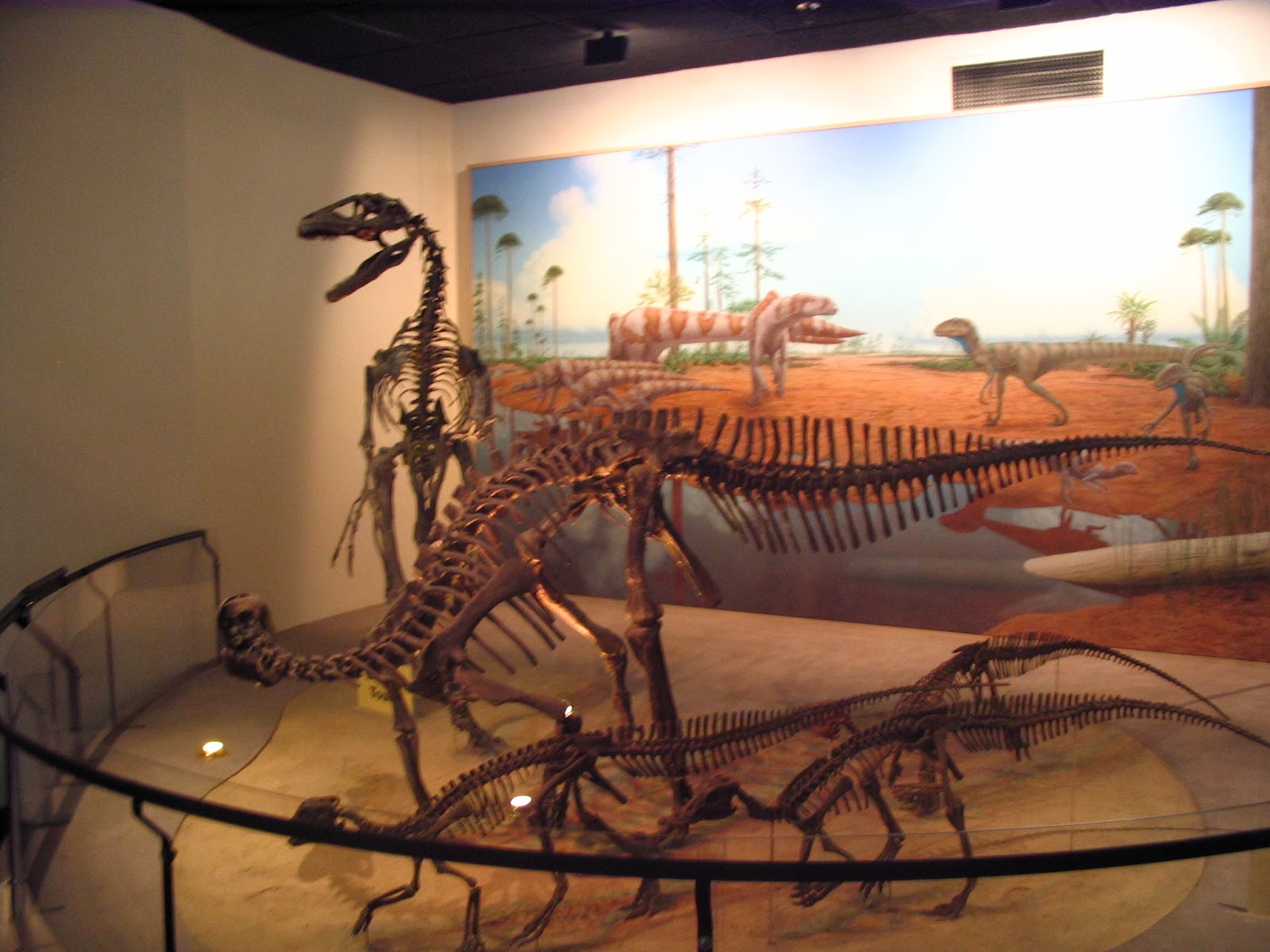 What happens when a non-accredited paleontology fan blogs: An overview ...