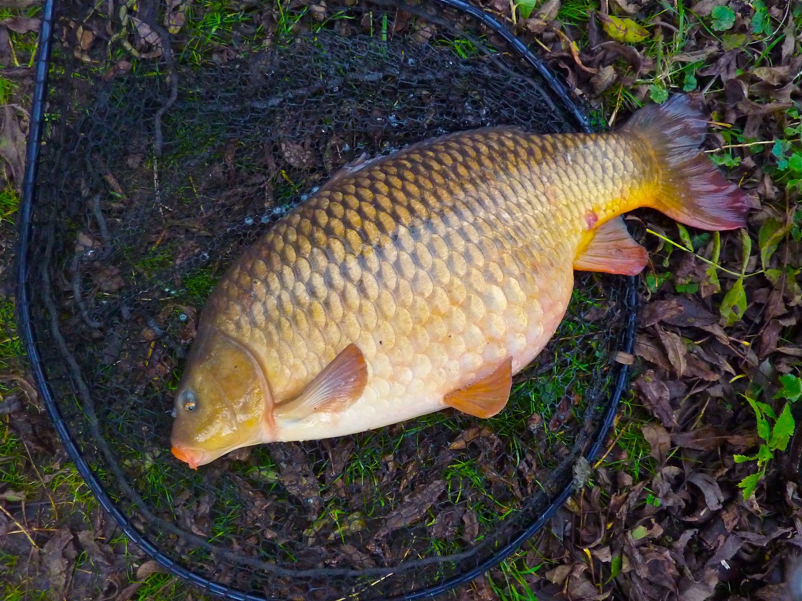 HUGH MILES - WILDLIFE ADVENTURES: March 2013