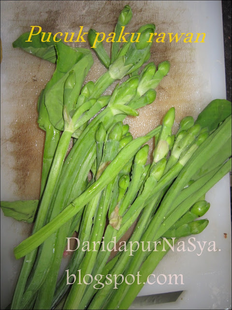 Dari Dapur NaSya: Pucuk paku rawan @ genjer