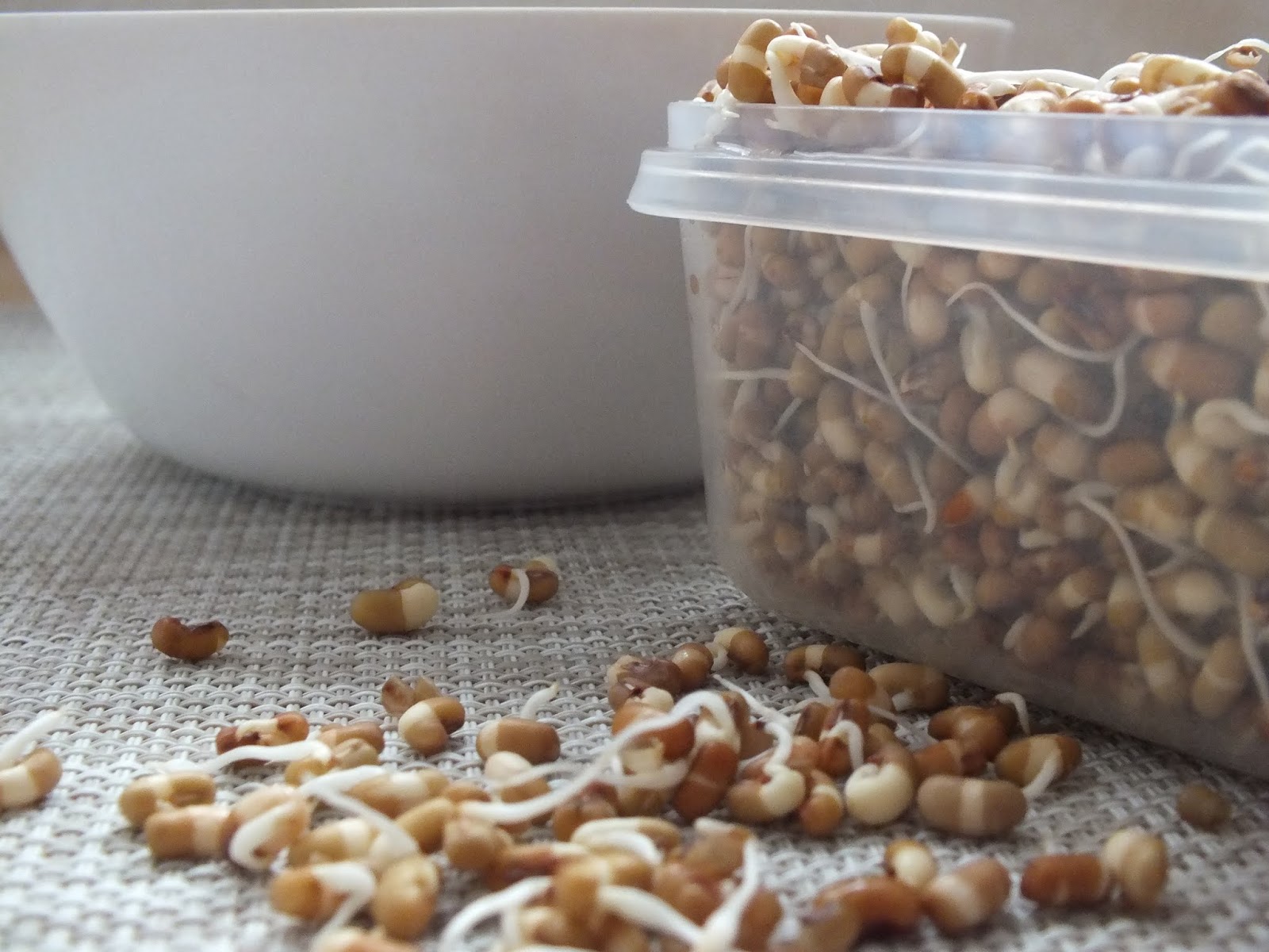 Moth beans gravy / Madike kaalu gojju recipe