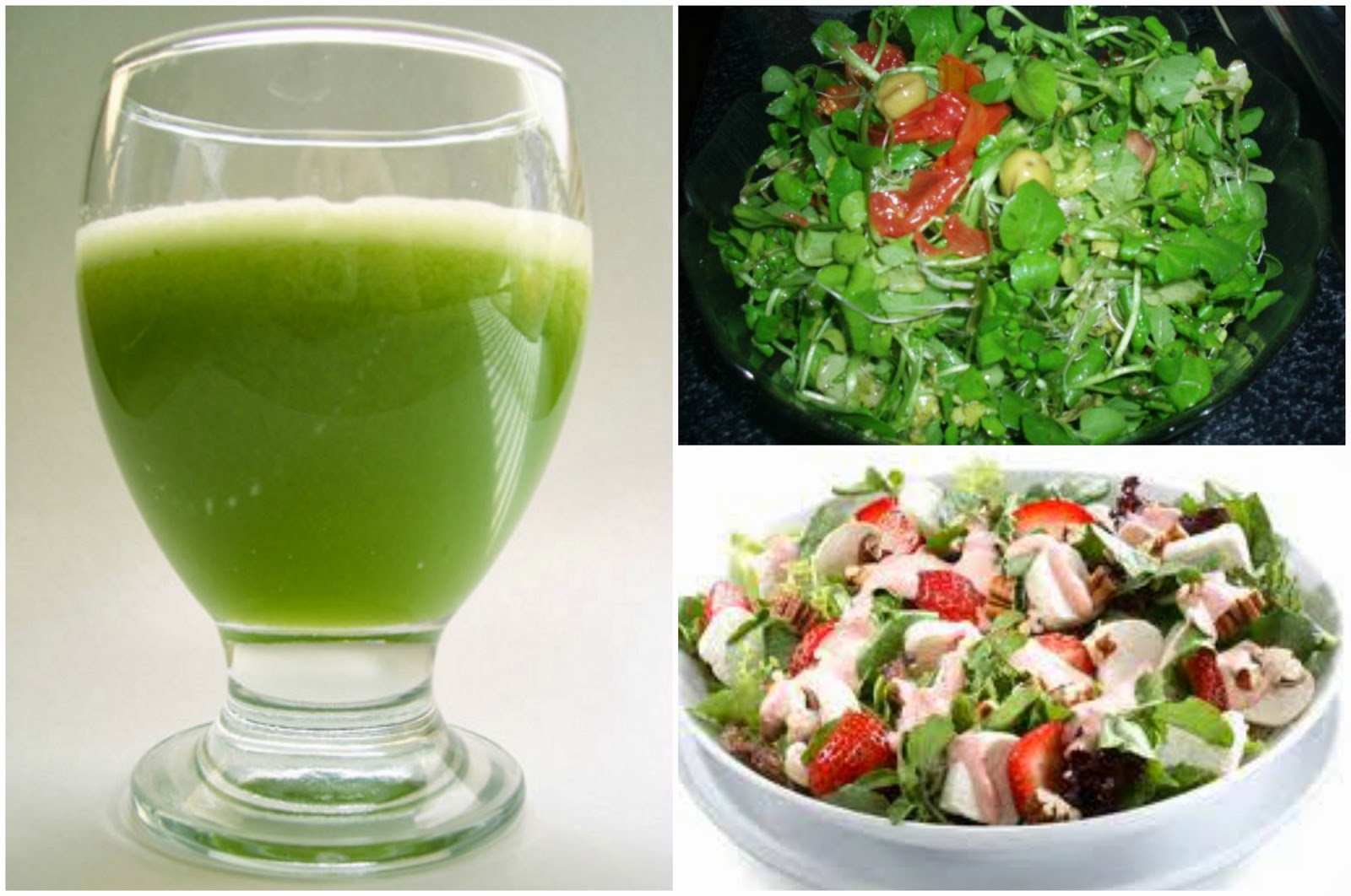 7 BENEFICIOS DEL BERRO : FRUTAS VERDURAS BENEFICIOS PROPIEDADES Y USOS