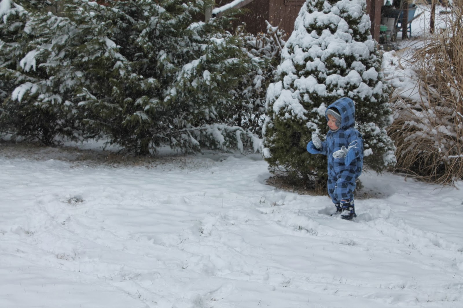 Port of Thoughts: Henry's Snowy Day