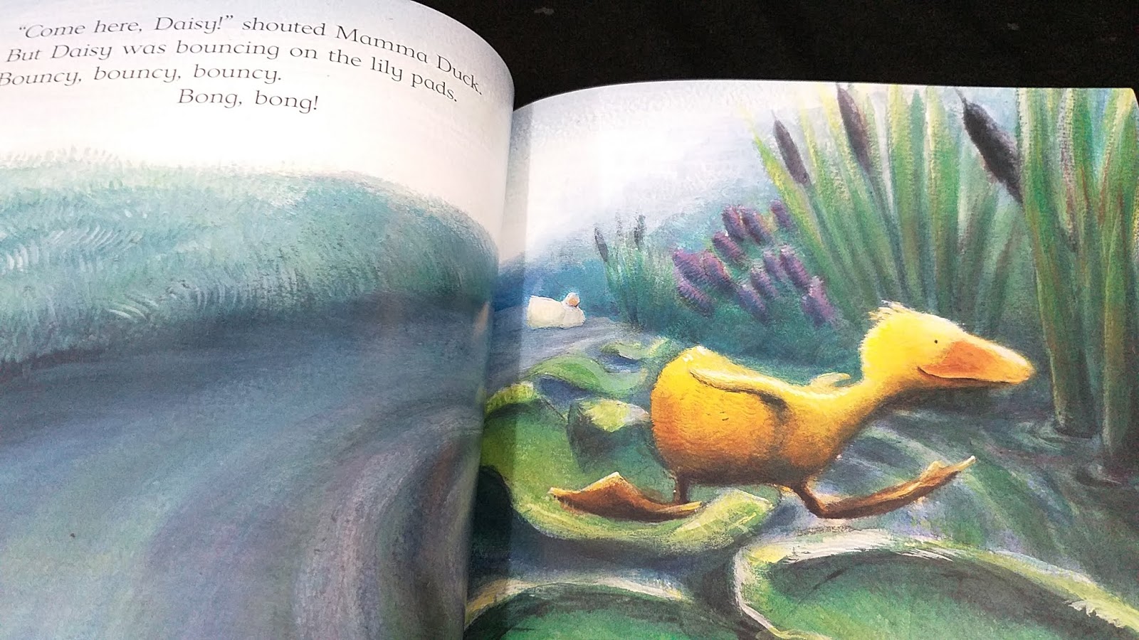 Kid Books Blog: 118.Come on, Daisy / Daisy and the Moon