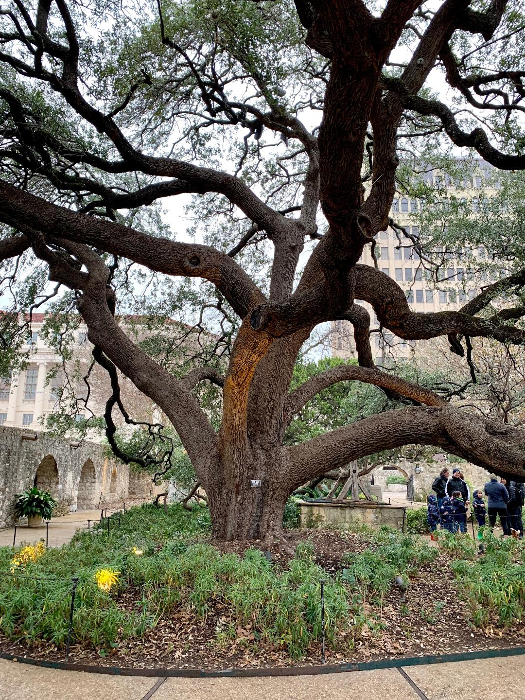 The Daily Rant: An Icon Of The Old South