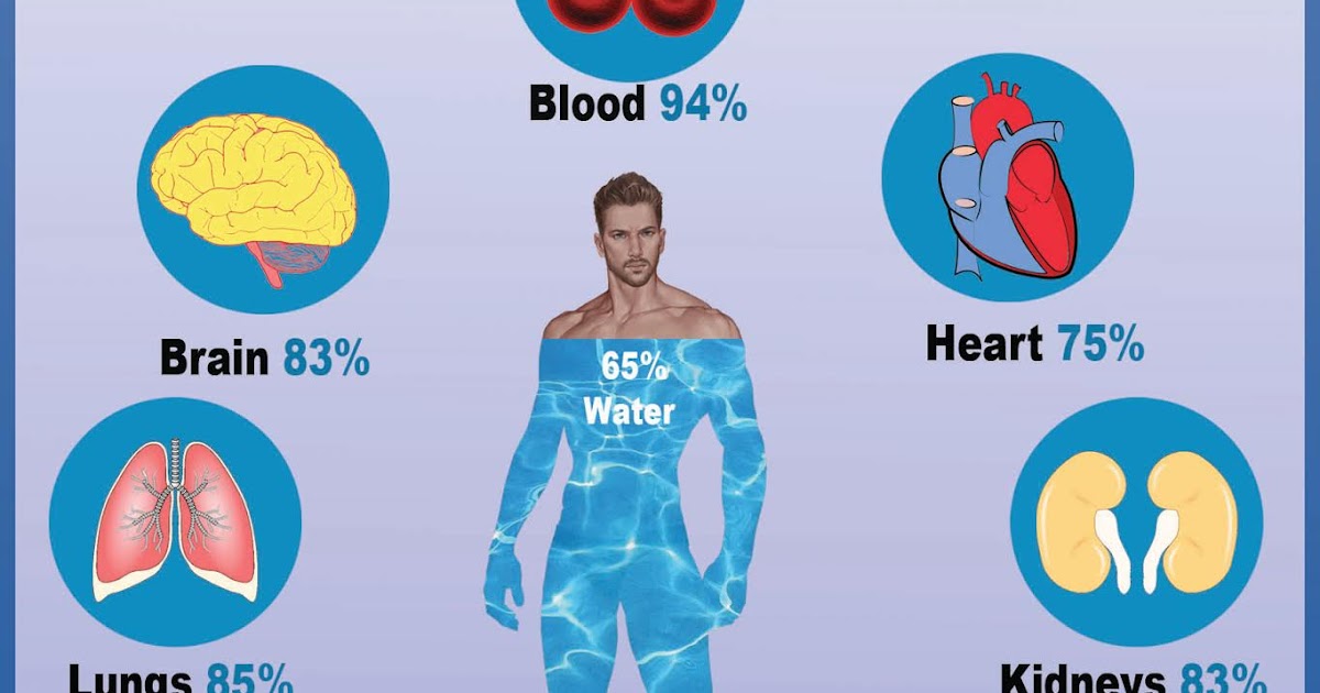The FUNCTIONS OF WATER IN HUMAN BODY