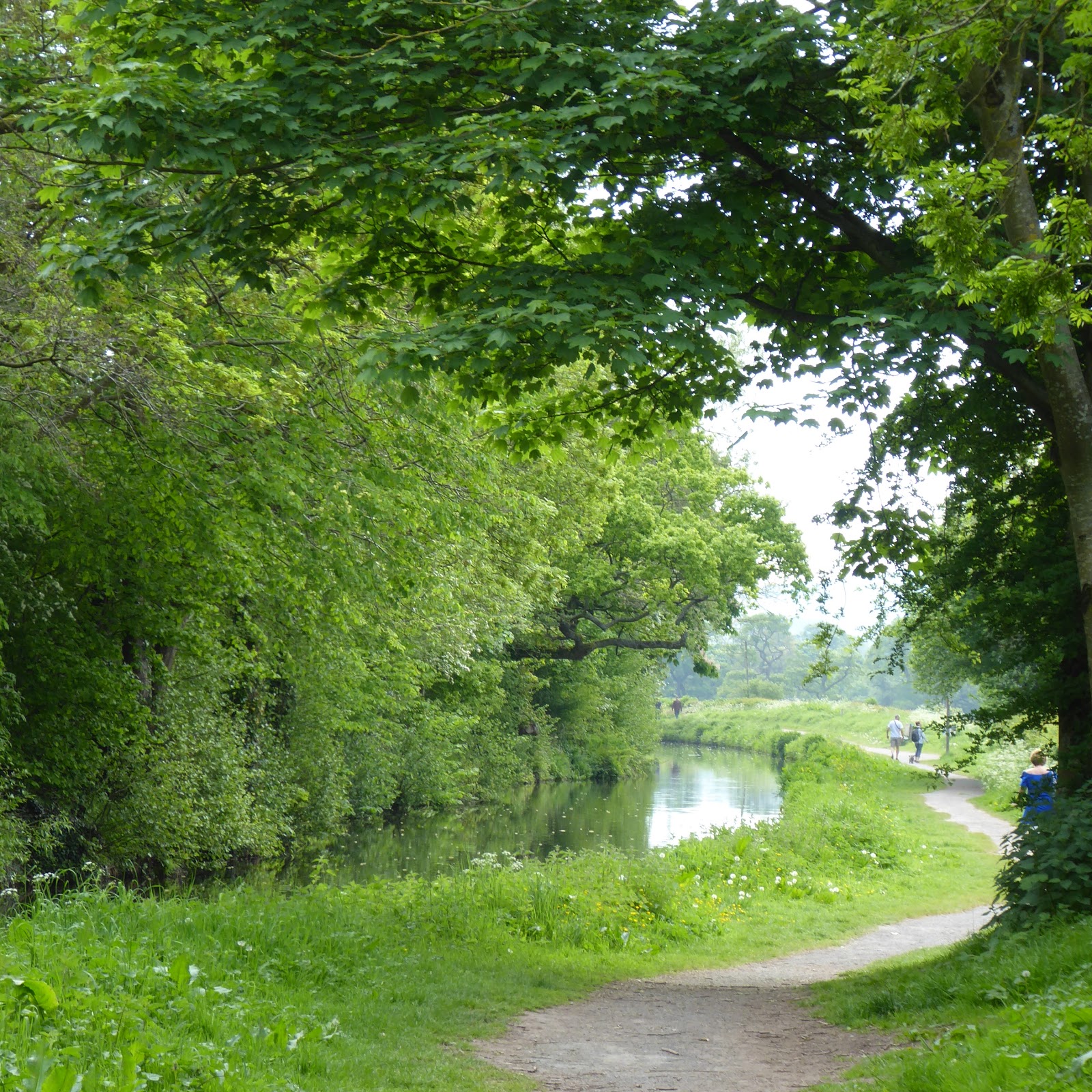 Codlinsandcream2: Pottering round Brecon