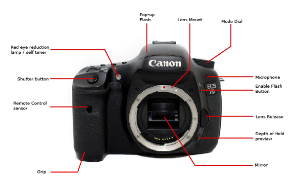 Newell ITC Media (2015-2016): Digital Photography - Intro to DSLR ...