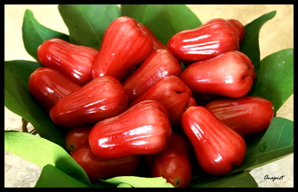 THE SOUTH KALIMANTAN: Tropical Fruits #1