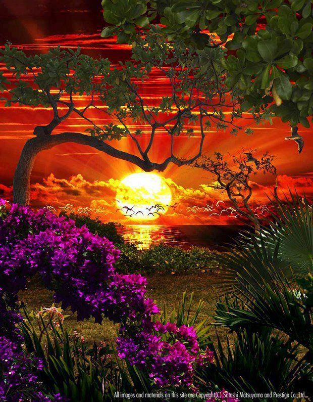 Paisajes y lugares hermosos: PAISAJES MÁGICOS