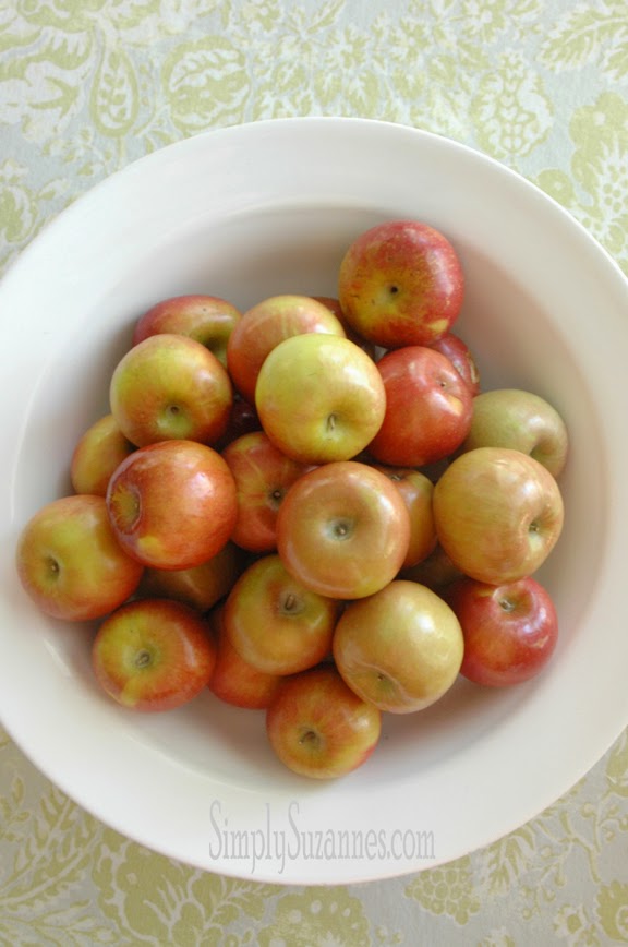 Simply Suzanne's AT HOME: early September