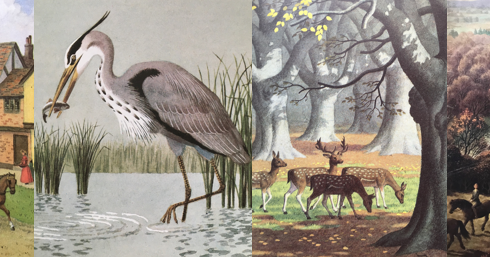 old Ladybird Books: Artist Ronald Lampitt - and why I love his work